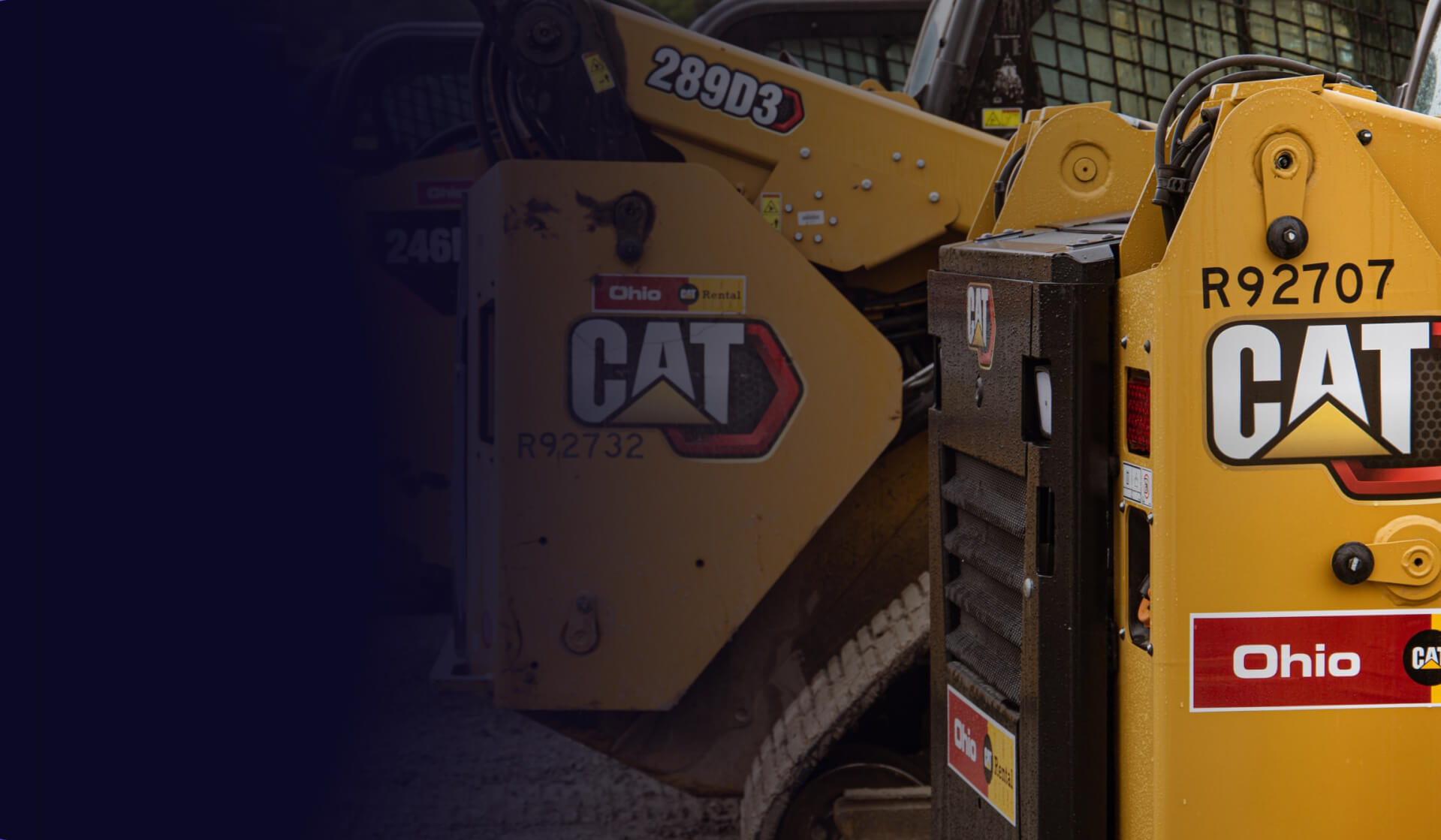 Meet Our Clients Ohio Cat